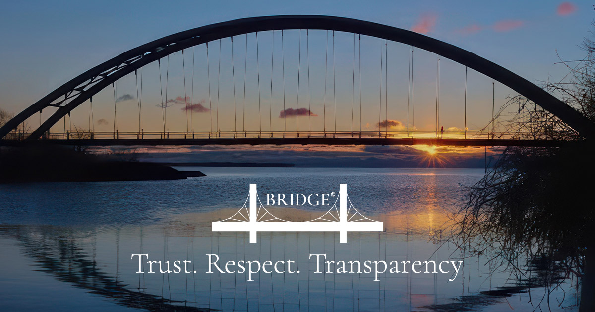About Bridge Esg Risk Management Consulting